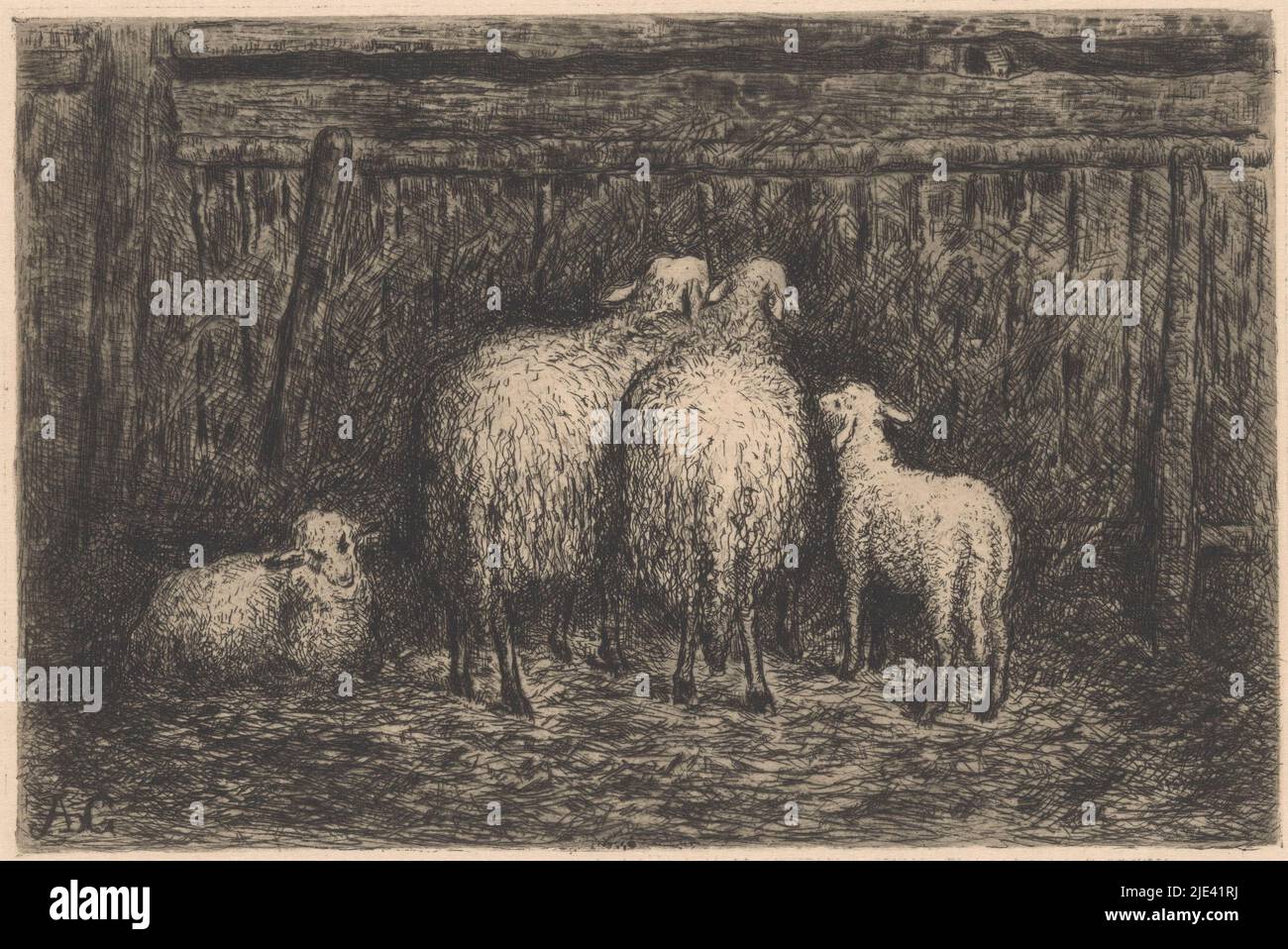 Sheep in a stable, Jacoba de Graaff, 1867 - 1911, print maker: Jacoba ...