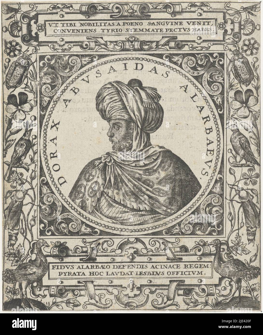 Dorax hi-res stock photography and images - Alamy