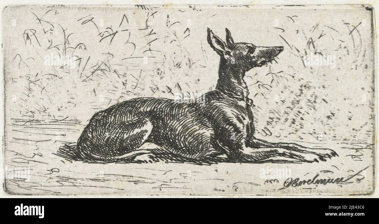 Reclining greyhound, Otto Eerelman, 1849 - 1912, print maker: Otto ...