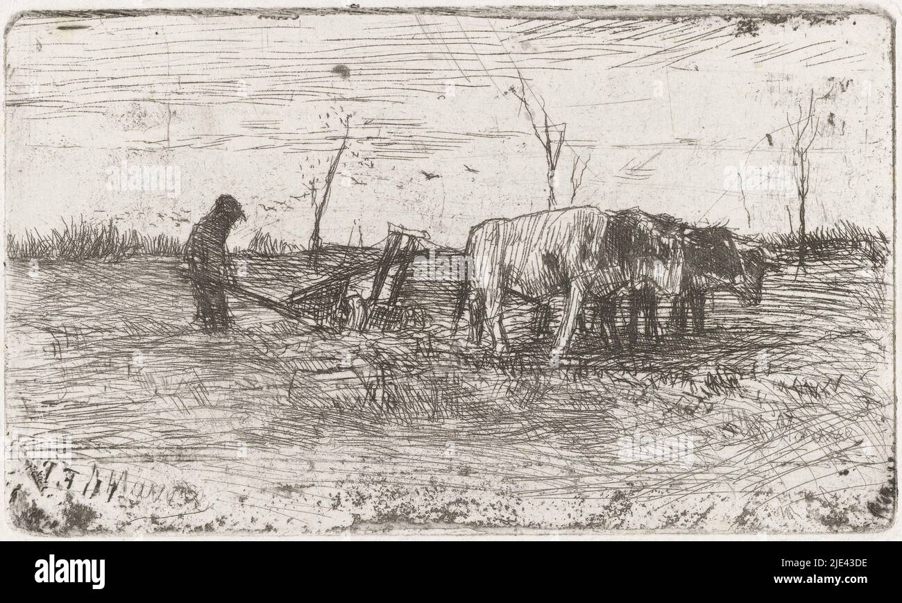 Plowing oxen, Anton Mauve, 1848 - 1888, Oxen pulling a plow across a ...