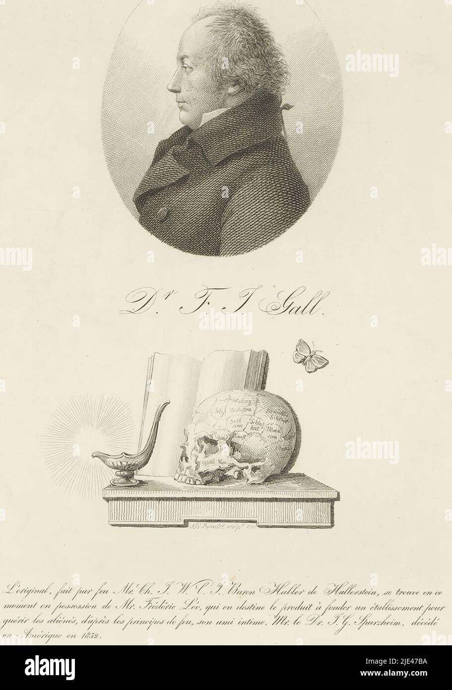 Franz joseph gall hi-res stock photography and images - Alamy