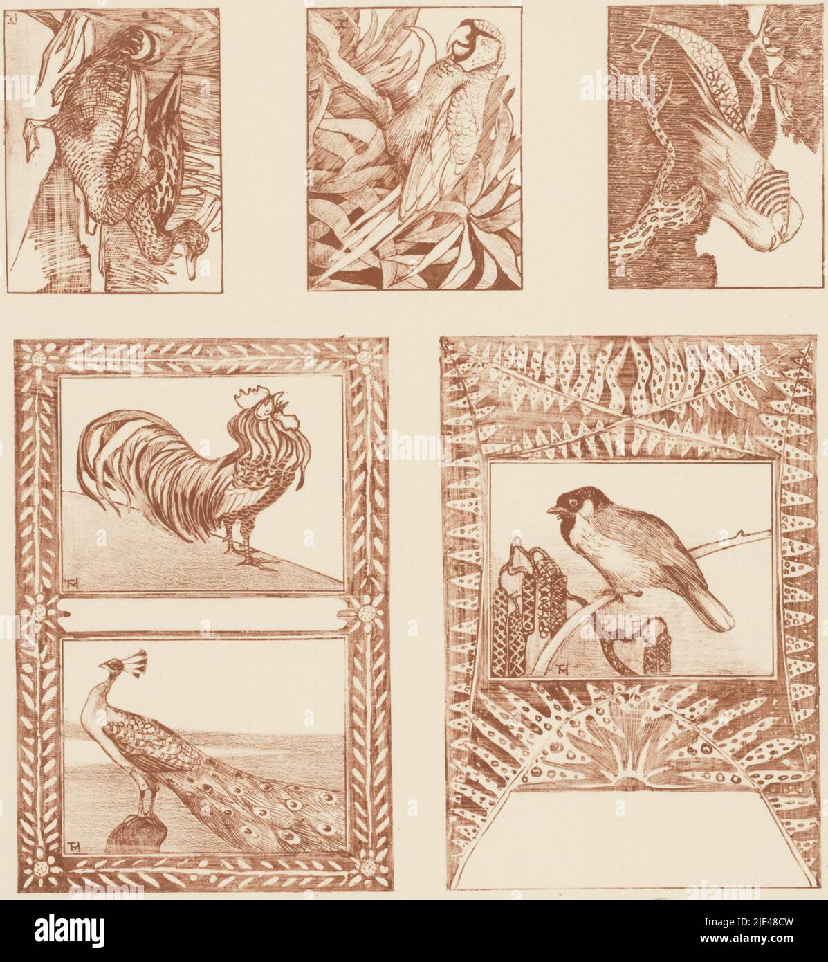 Proof sheet for postcards with birds, Theo van Hoytema, 1878 - 1917 ...