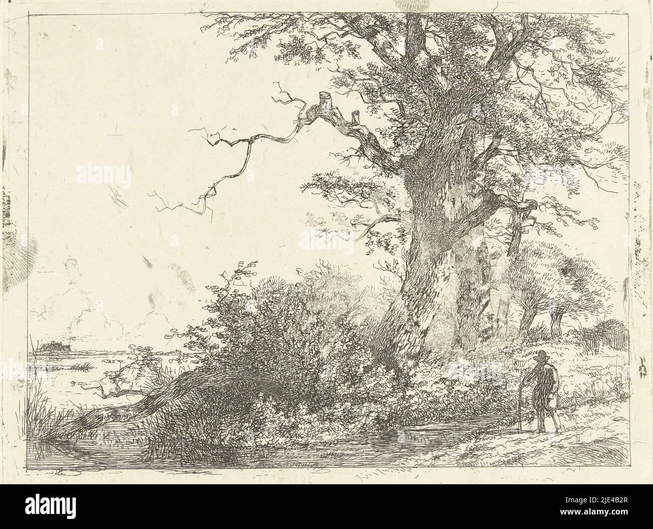 Landscape with oak trees and man by water, Albertus Brondgeest, 1796 ...