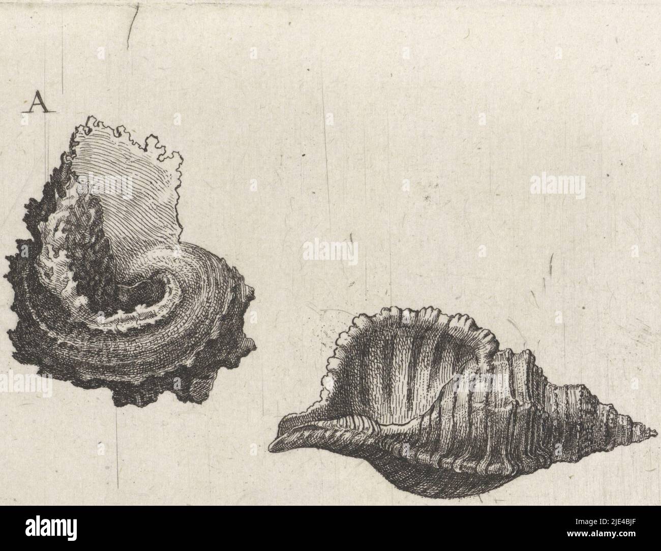 H 99 mm w 147 mm hi-res stock photography and images - Alamy