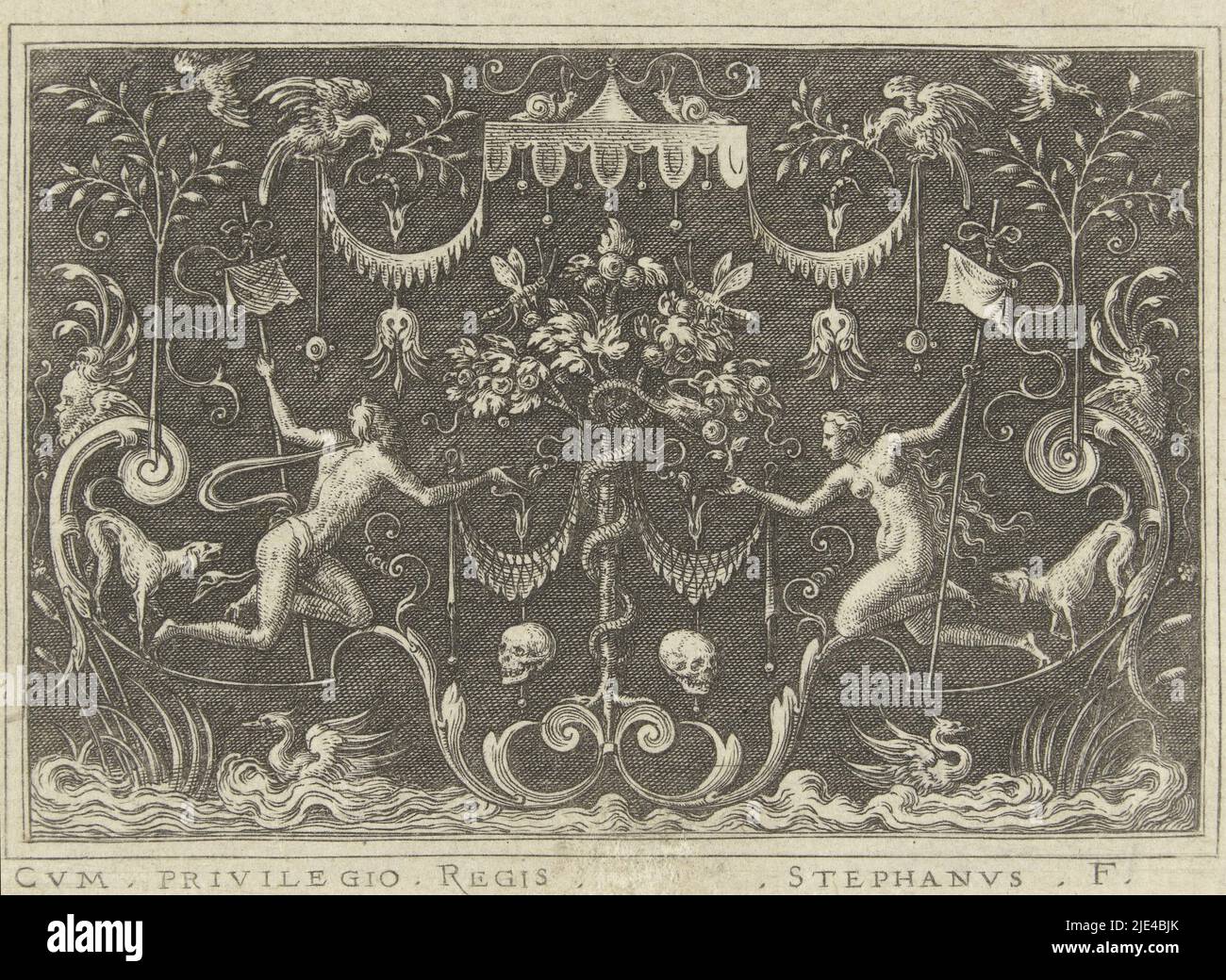 Volute tree hi-res stock photography and images - Alamy