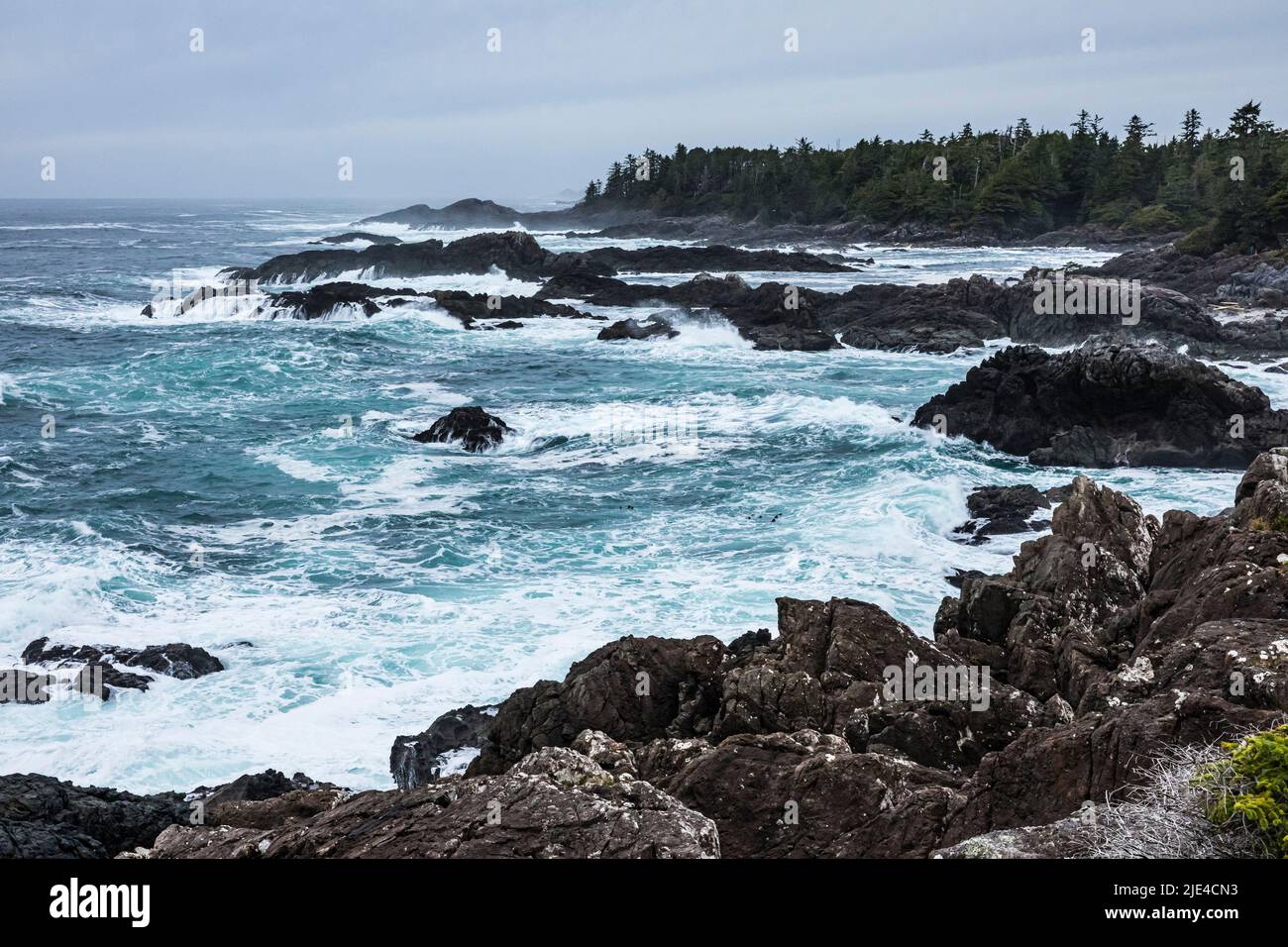 Vancouver island landscapes hi-res stock photography and images - Alamy
