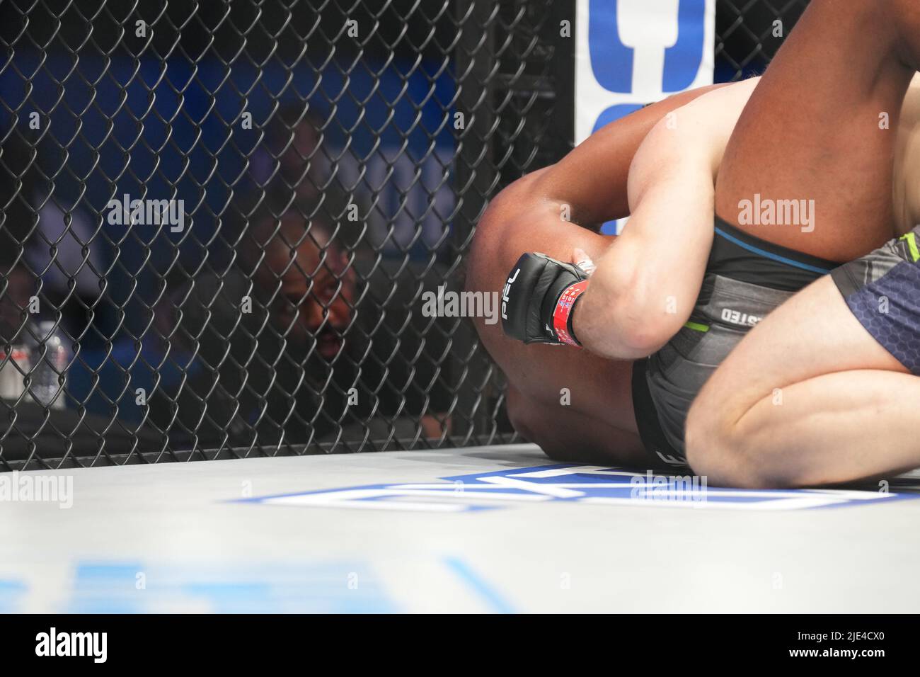 Goltsov hi-res stock photography and images - Alamy