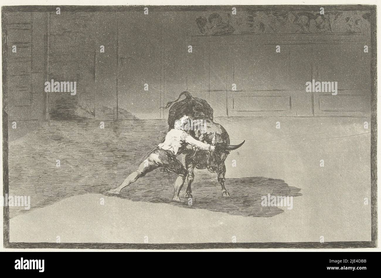 Two Bulls Fighting Drawing