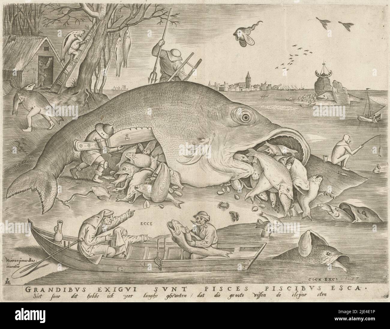 Large fish lying trapped hi-res stock photography and images - Alamy