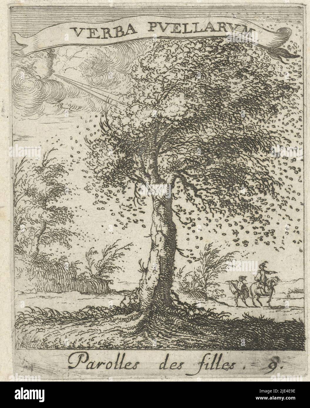 Tree leaves blowing off hi-res stock photography and images - Alamy