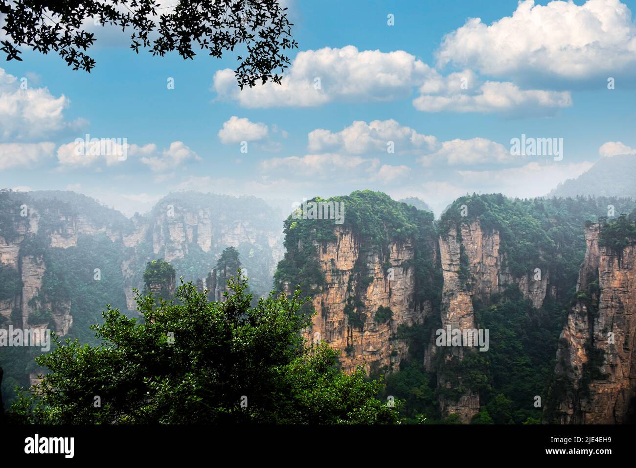 China south africa hi-res stock photography and images - Alamy