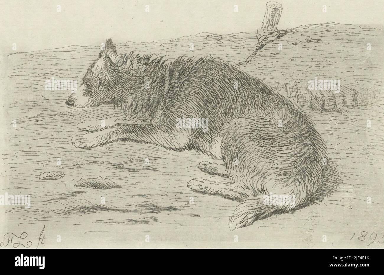 Reclining dog seen from side, Frans Lebret, 1895, A reclining dog with ...