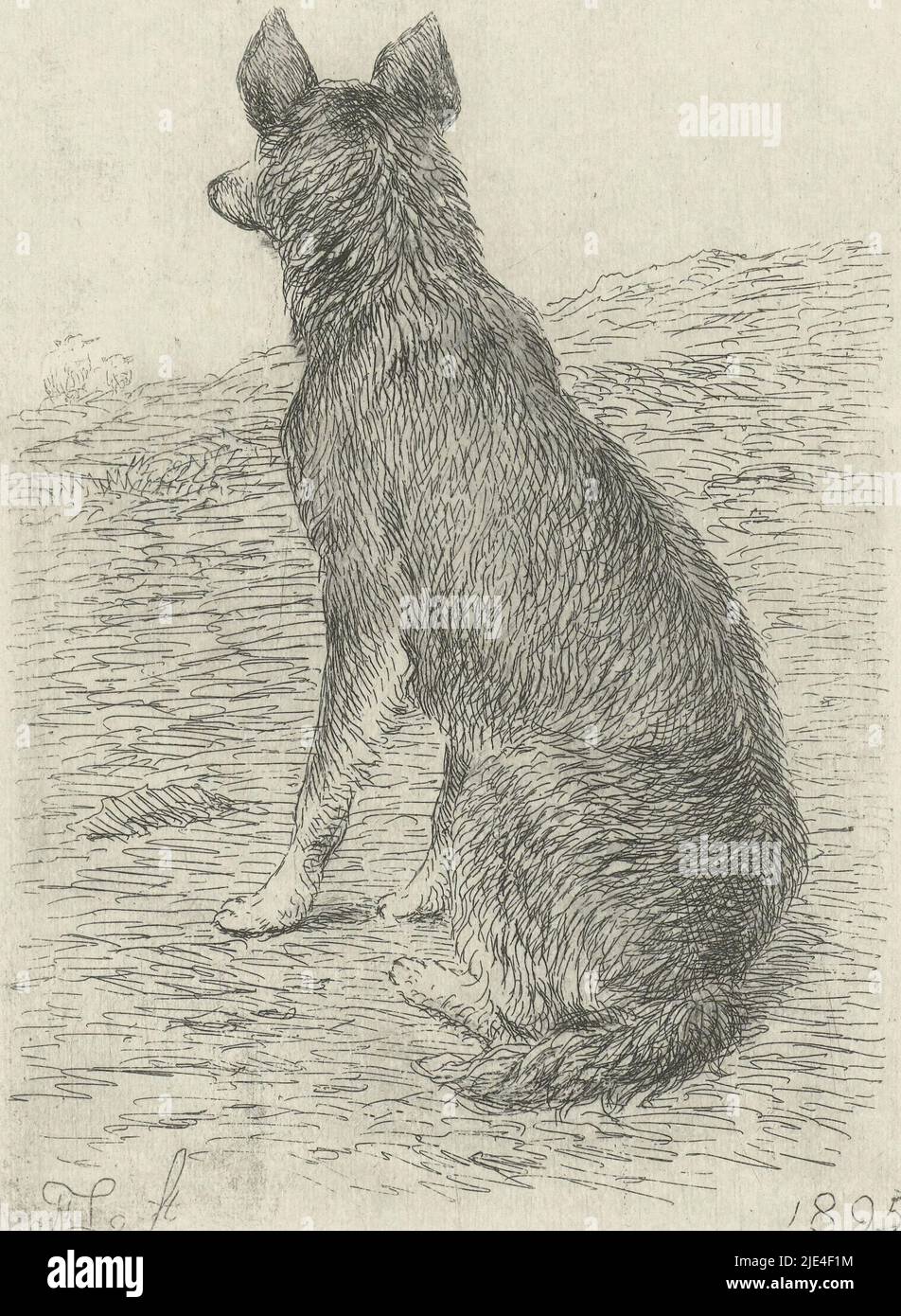 Seated dog seen from behind, Frans Lebret, 1895, A seated dog, seen ...
