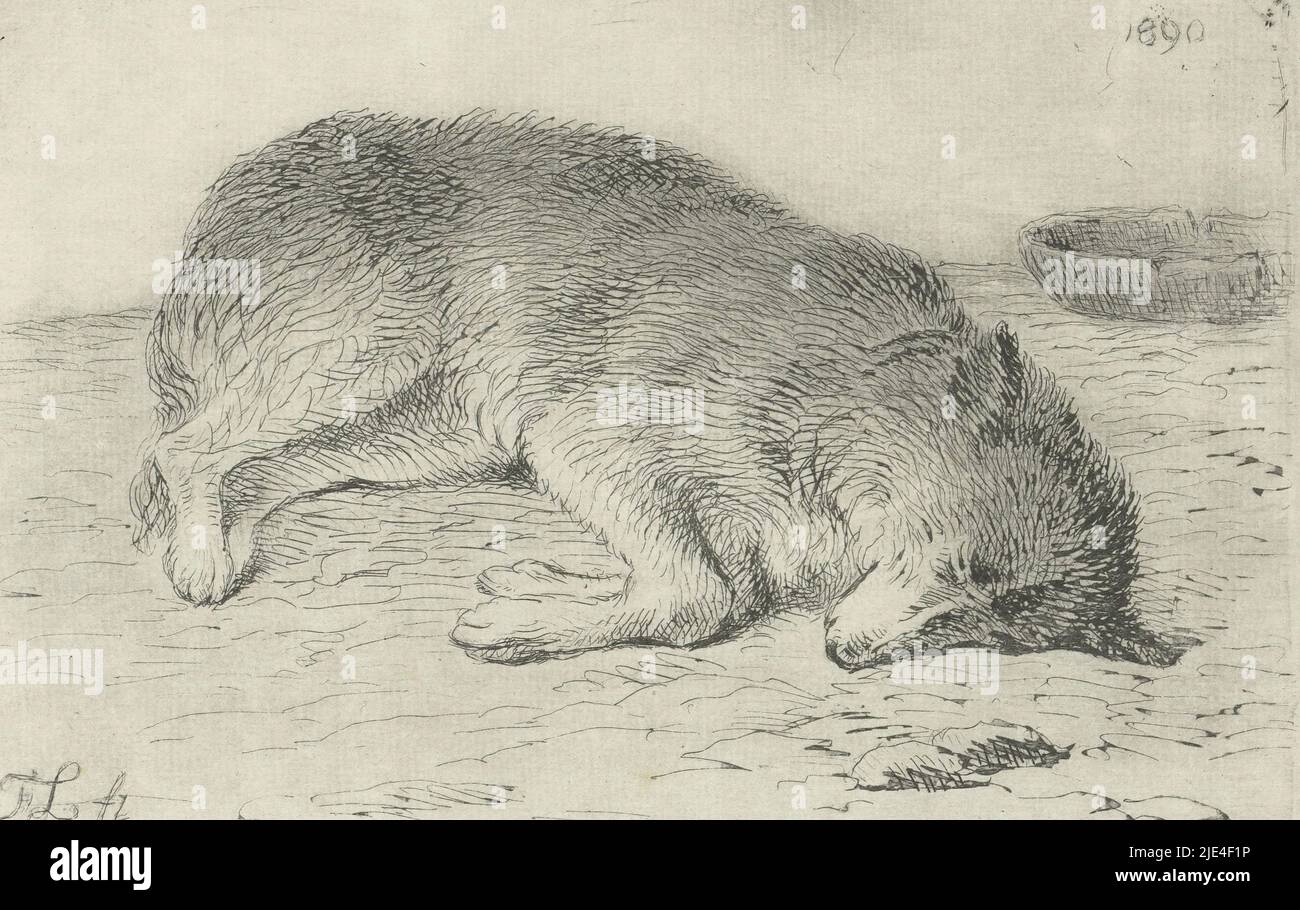Sleeping dog, Frans Lebret, 1890, A sleeping dog seen from the side ...