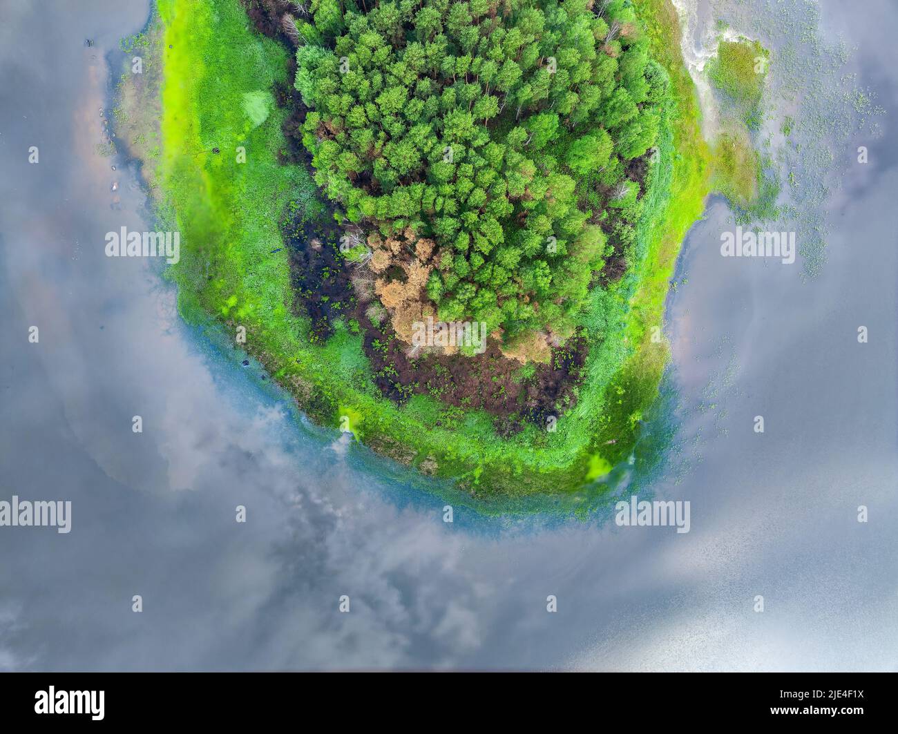 Aerial view of lake or river green shore with forest. Summer season ...