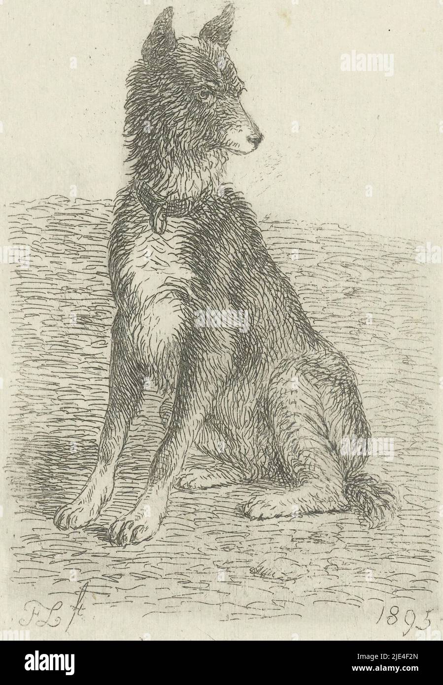 Seated dog with head turned to the right, Frans Lebret, 1895, A seated ...
