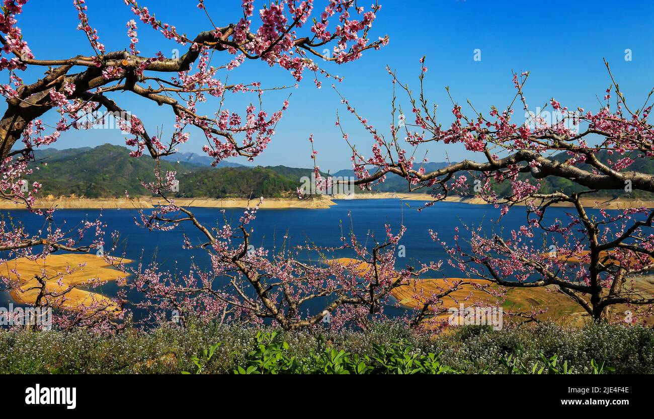 Yalu hi-res stock photography and images - Alamy