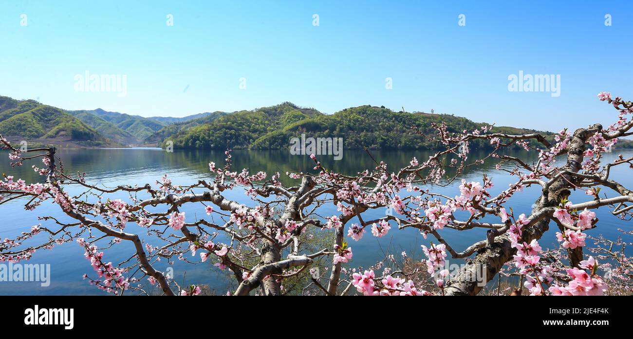 Yalu hi-res stock photography and images - Alamy