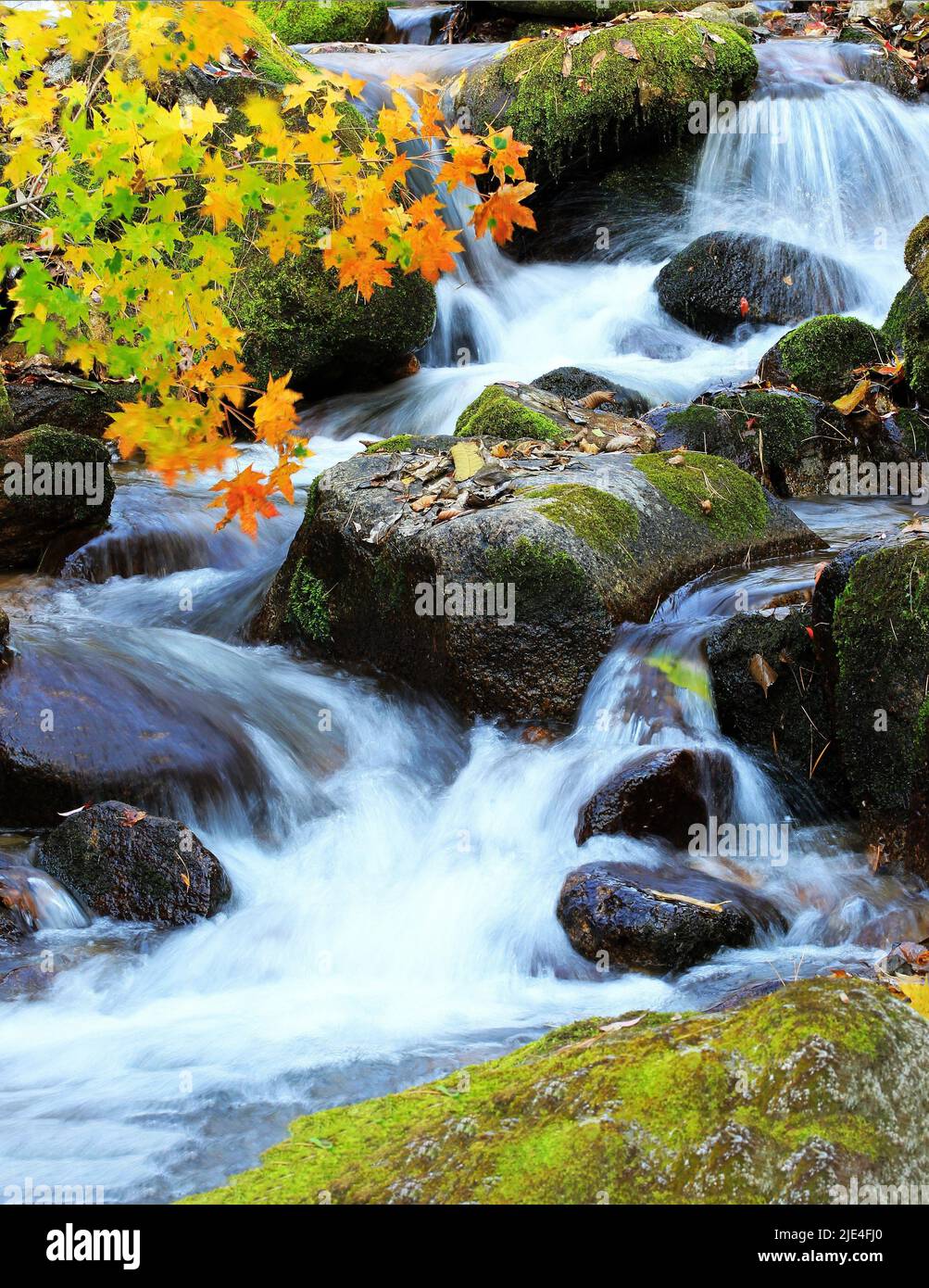 Elm ditch hi-res stock photography and images - Alamy