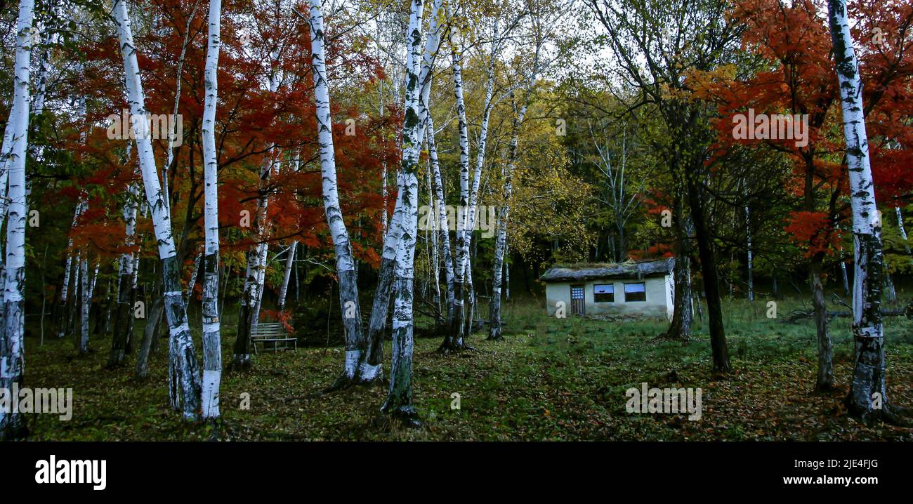 Rafa mountain national forest park hi-res stock photography and images ...