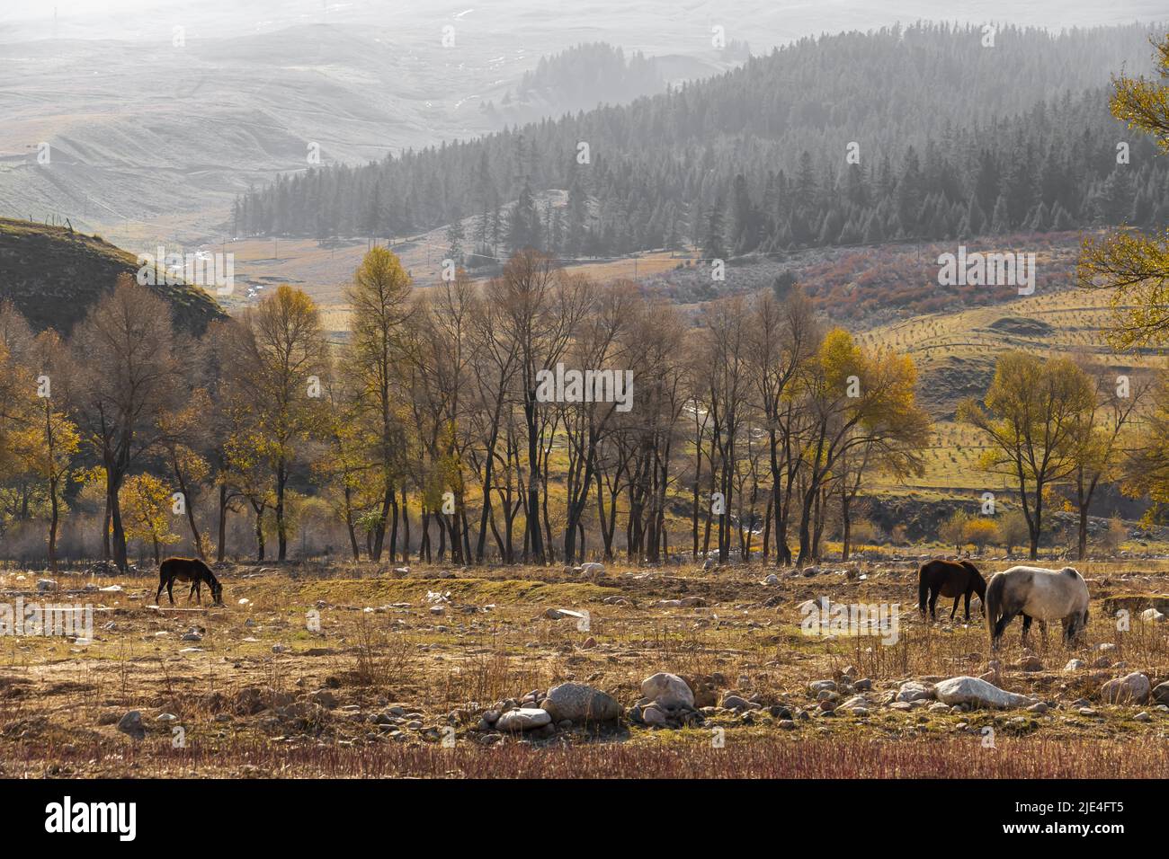 Overlapping mountains hi-res stock photography and images - Alamy