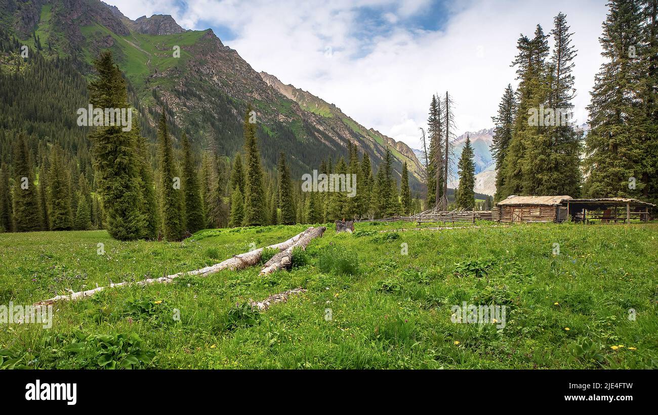 Xinjiang zhao su cara house, summer scenery Stock Photo - Alamy
