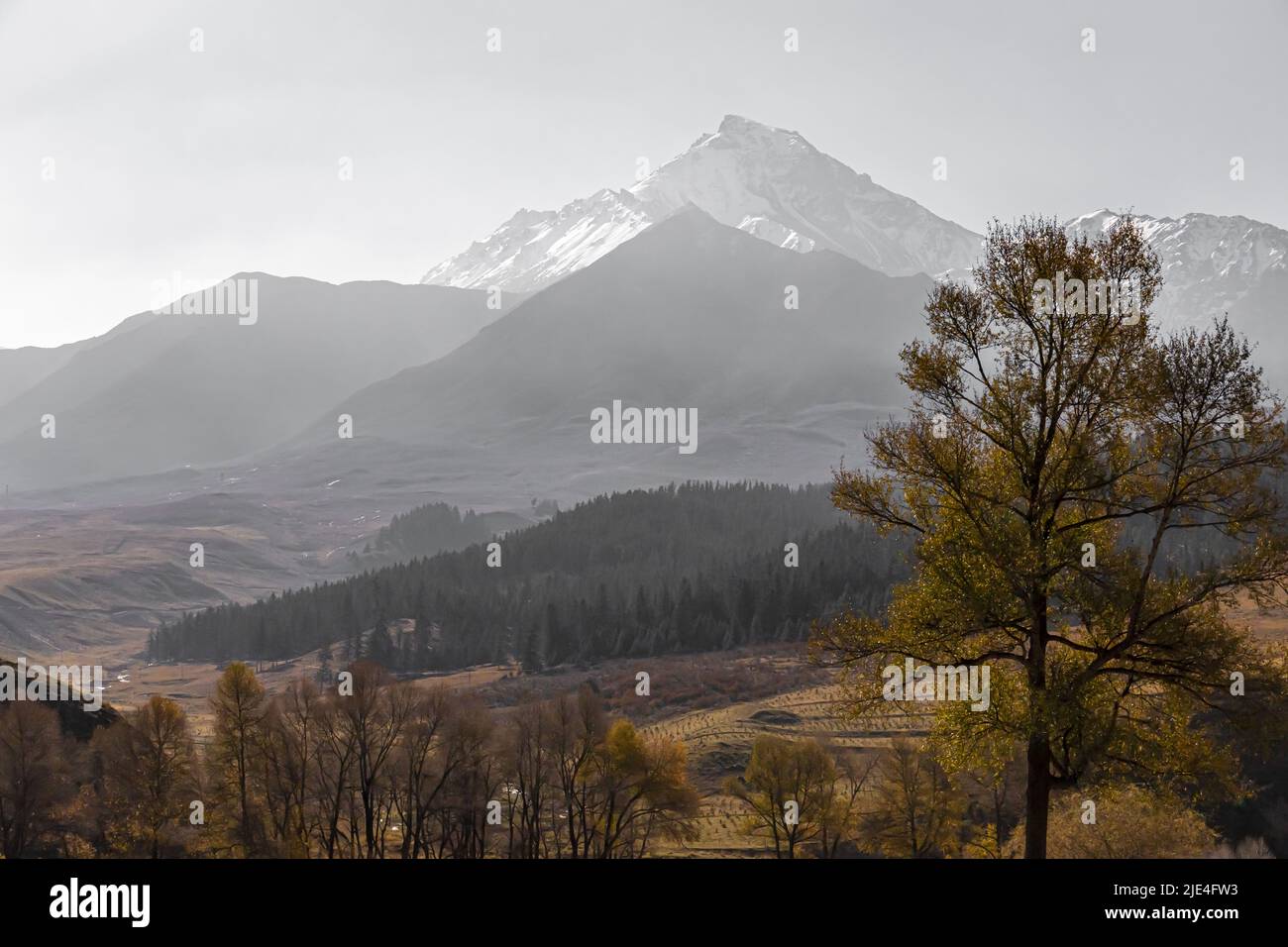 Snow mountain winter yellow woods mountainous overlapping Stock Photo ...
