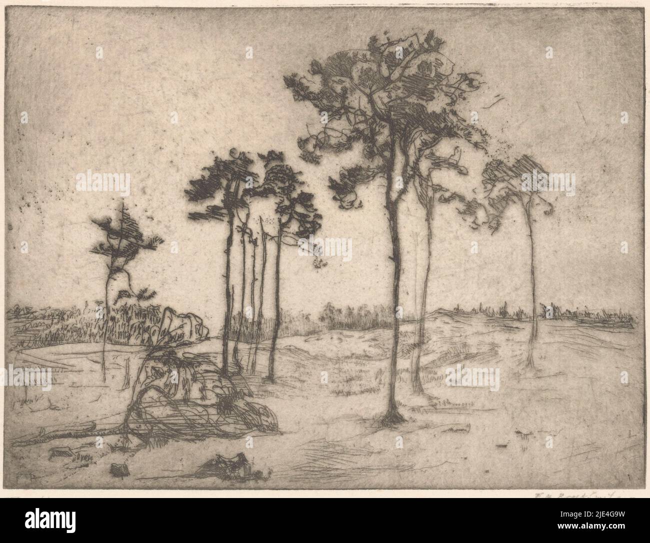 Trees, Frederika Henriëtte Broeksmit, 1885 - 1931, Trees in a rolling ...