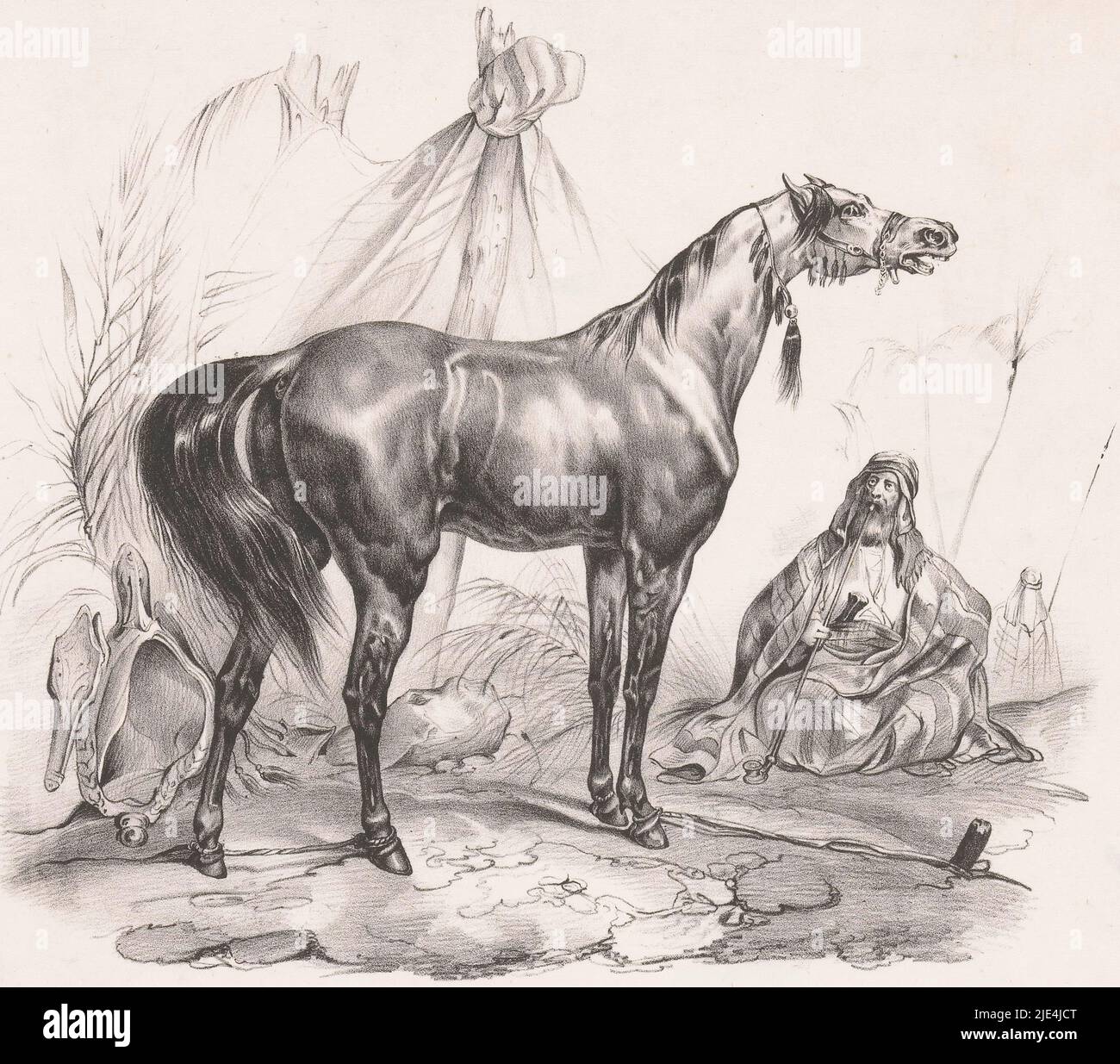 Victor adam horse hi-res stock photography and images - Alamy