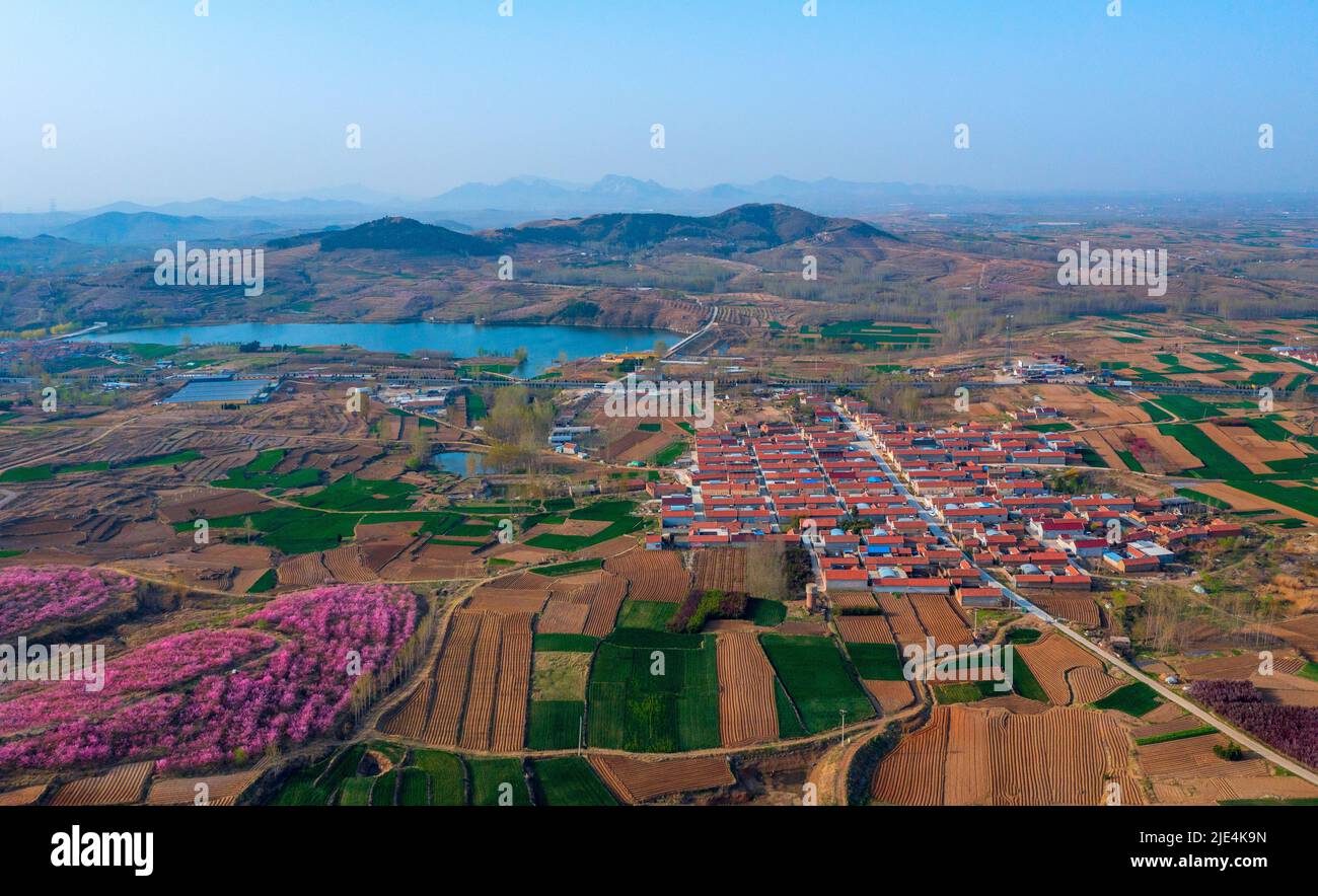 Spring peach hi-res stock photography and images - Alamy