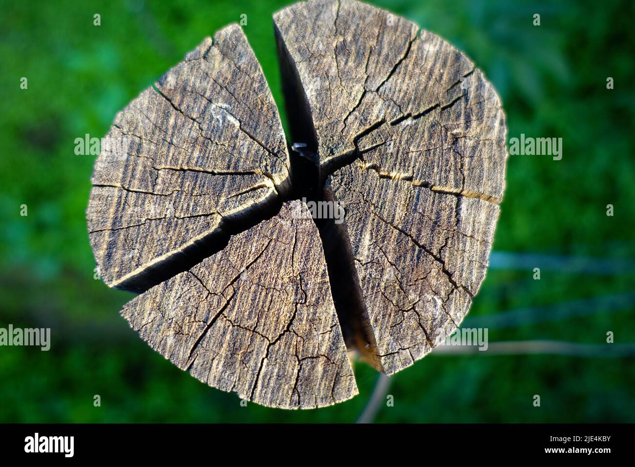 Burnt cracked wood texture hi-res stock photography and images - Alamy