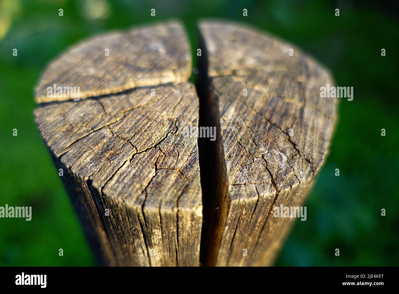 Burnt cracked wood texture hi-res stock photography and images - Alamy