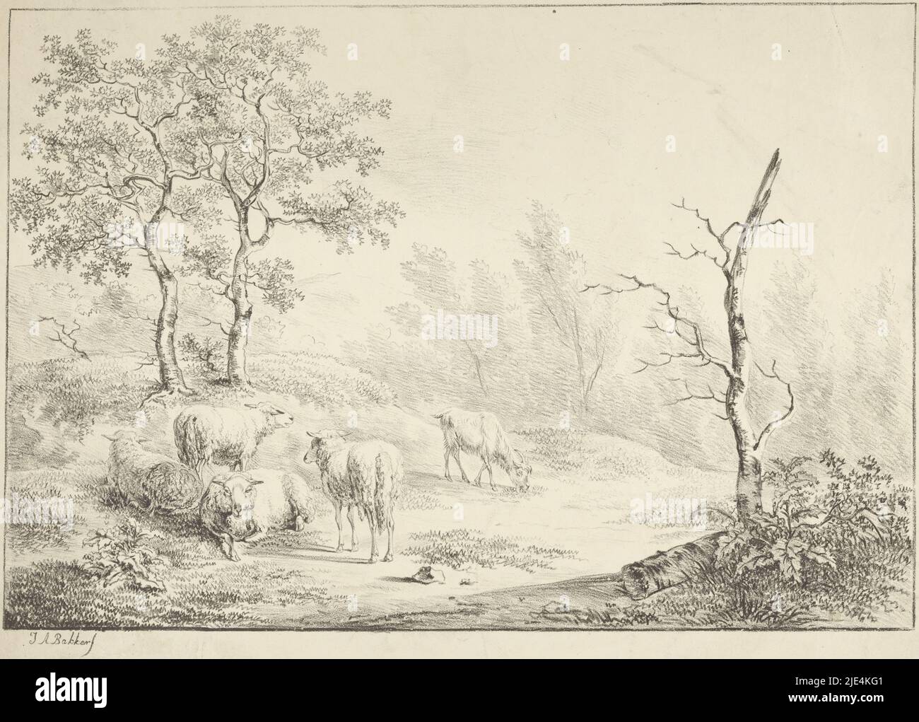 Landscape with sheep and goat, Job Augustus Bakker, c. 1820, In an open ...