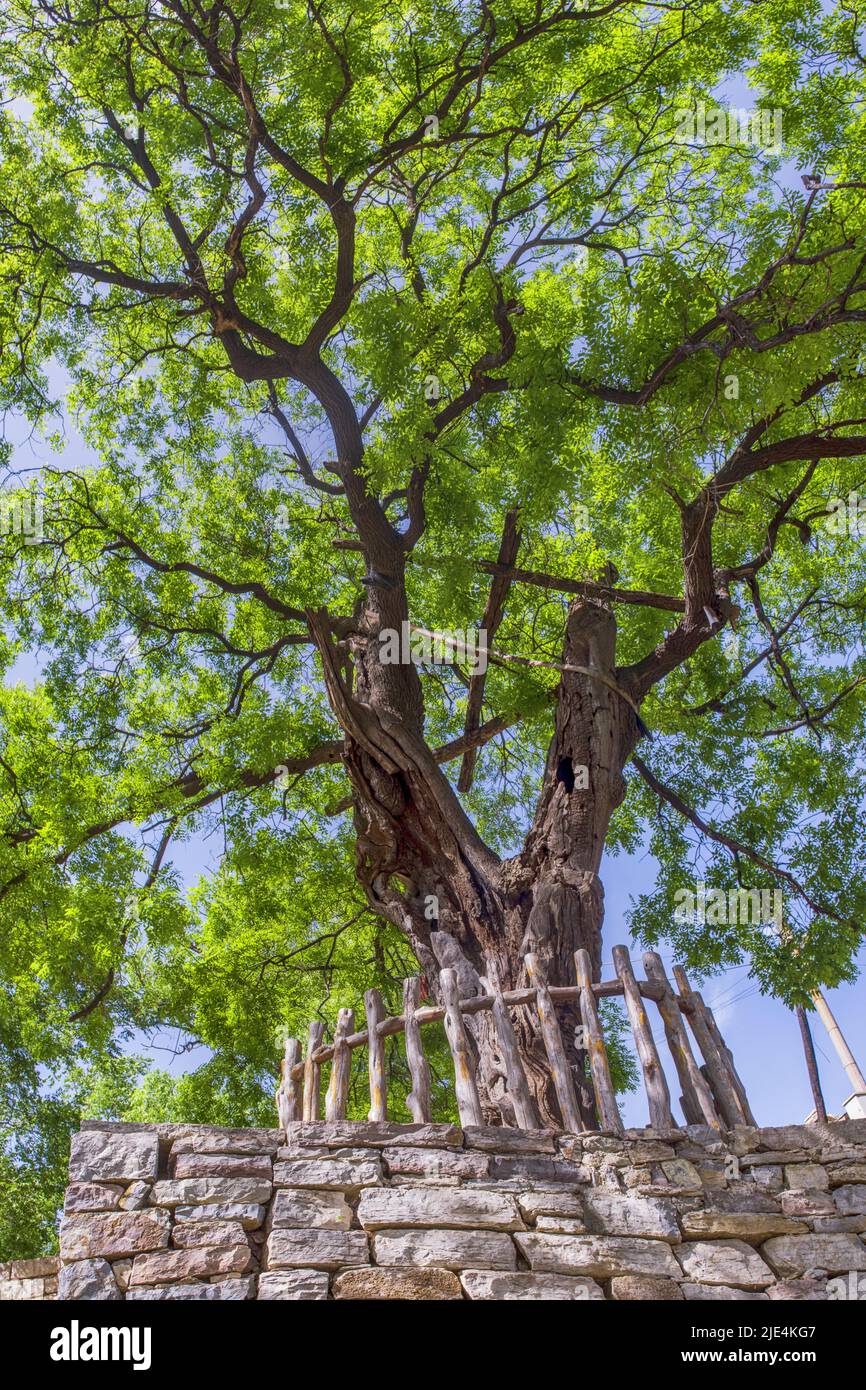 Great Wall of qi the ancient Great Wall stone the spring and autumn ...