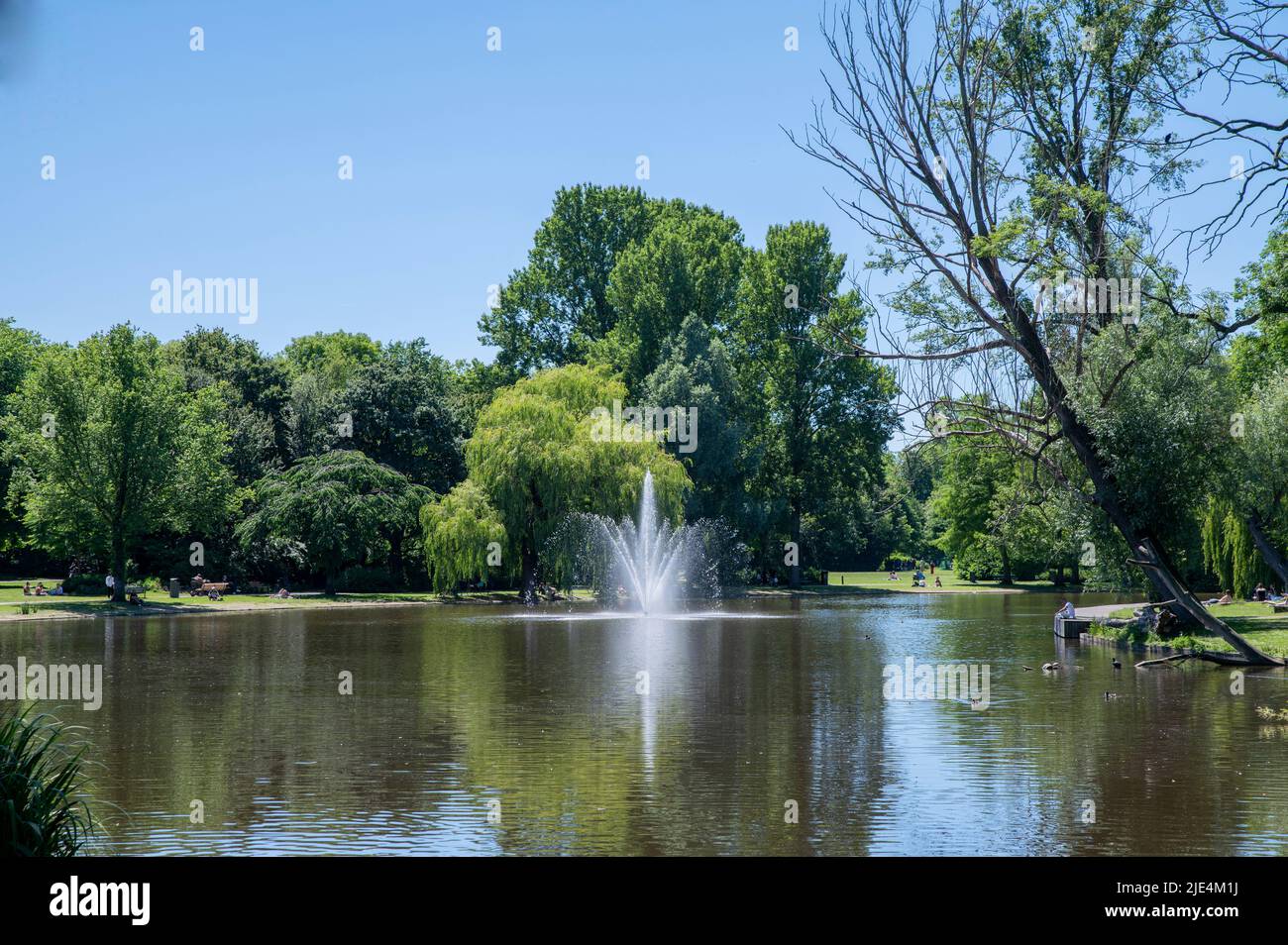 Pond At The Oosterpark Park At Amsterdam The Netherlands 22-6-2022 ...
