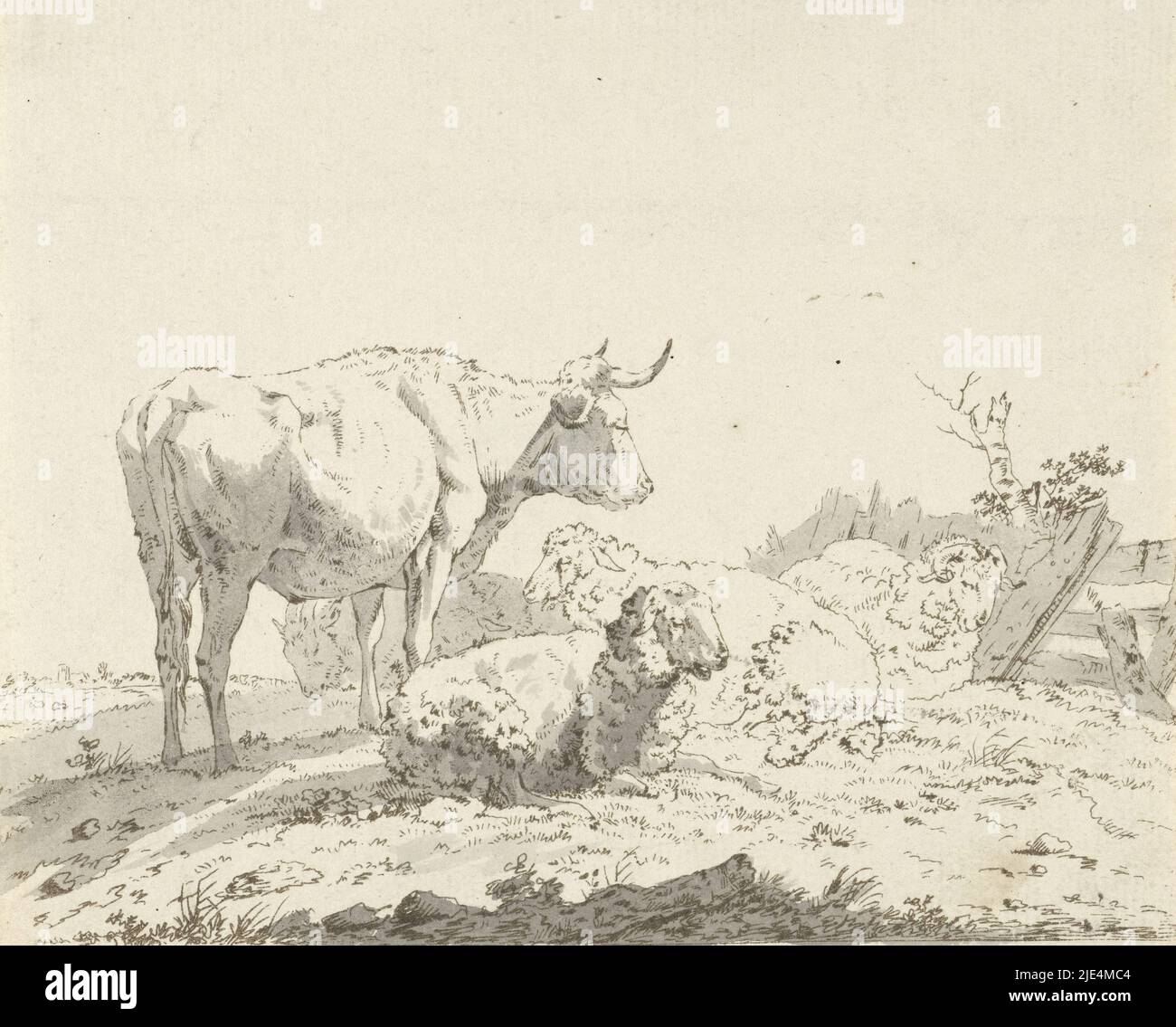 Cow and sheep in a meadow, Jan Kobell (II), 1788 - 1814, In a rolling ...