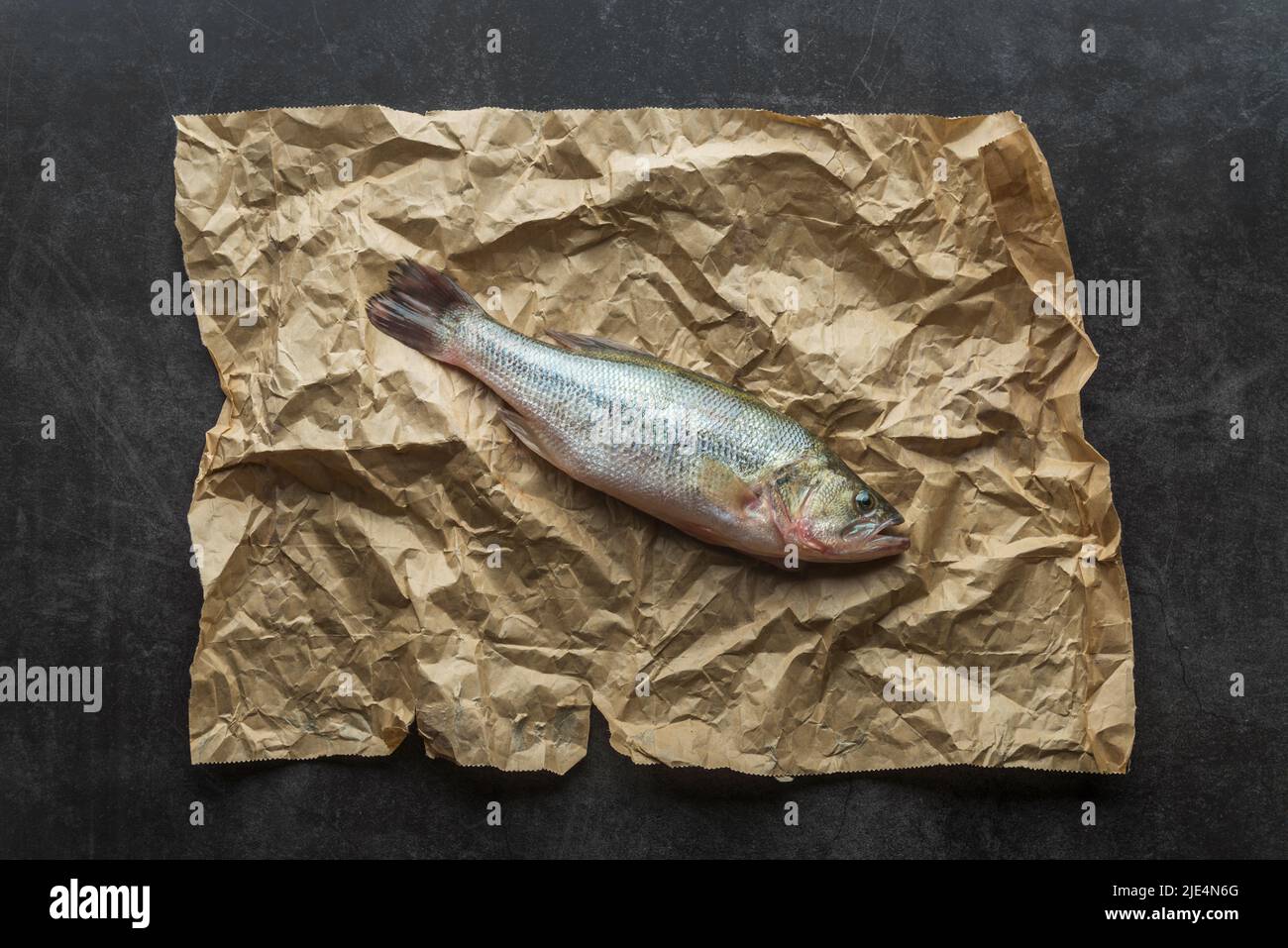 Big sea bass hi-res stock photography and images - Alamy