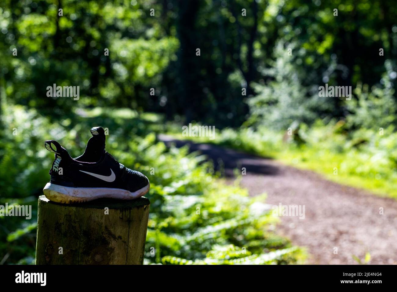 Single lost Nike shoe on a fence post. Cannop Ponds, Forest of Dean ...