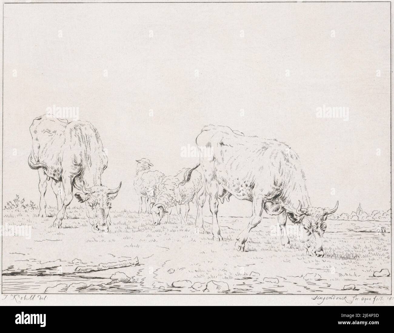 Two grazing cows in a meadow landscape. In between a ram and a ewe ...