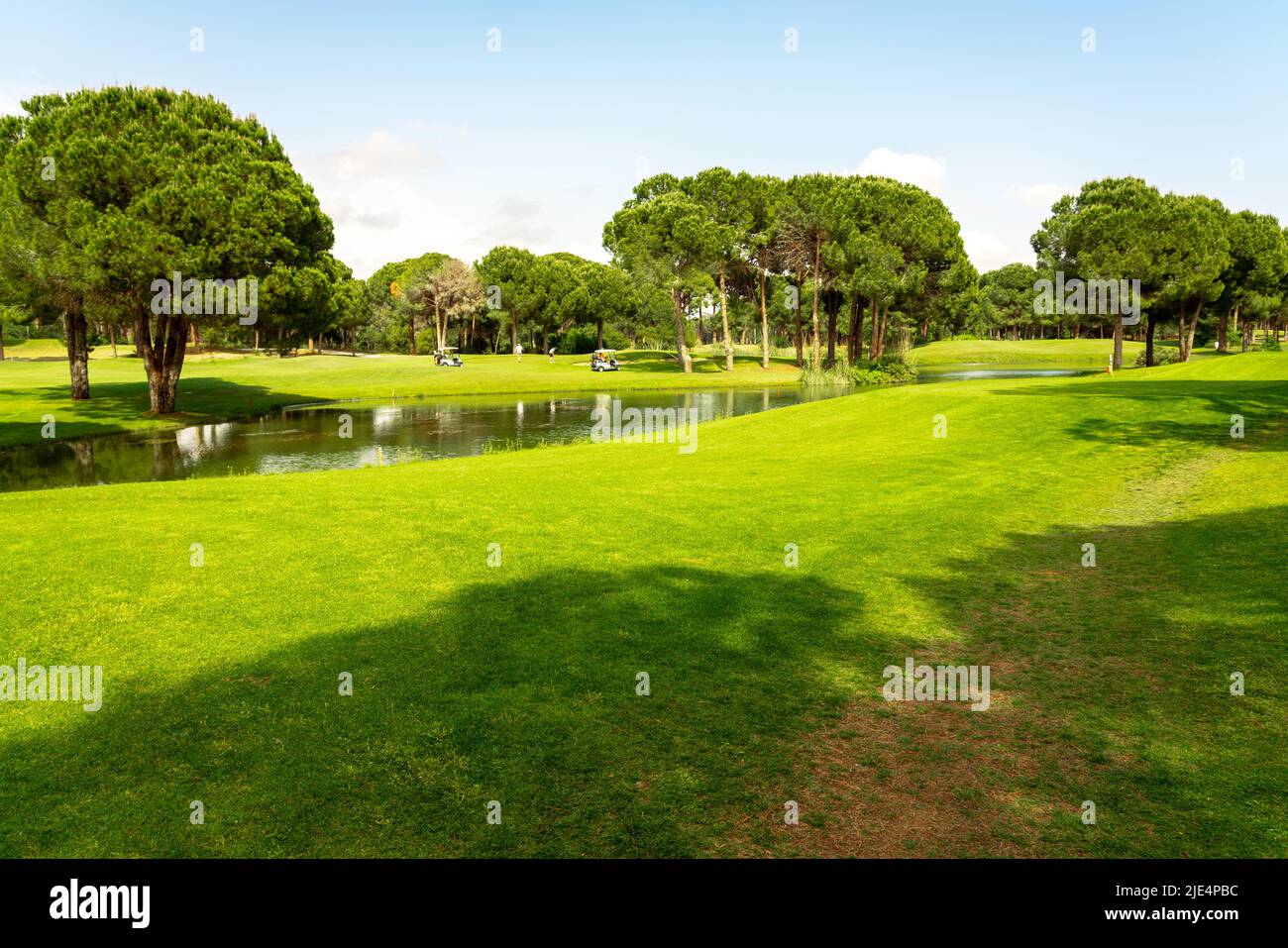Landscape view of beautiful golf course surrounded with pines in Turkey ...