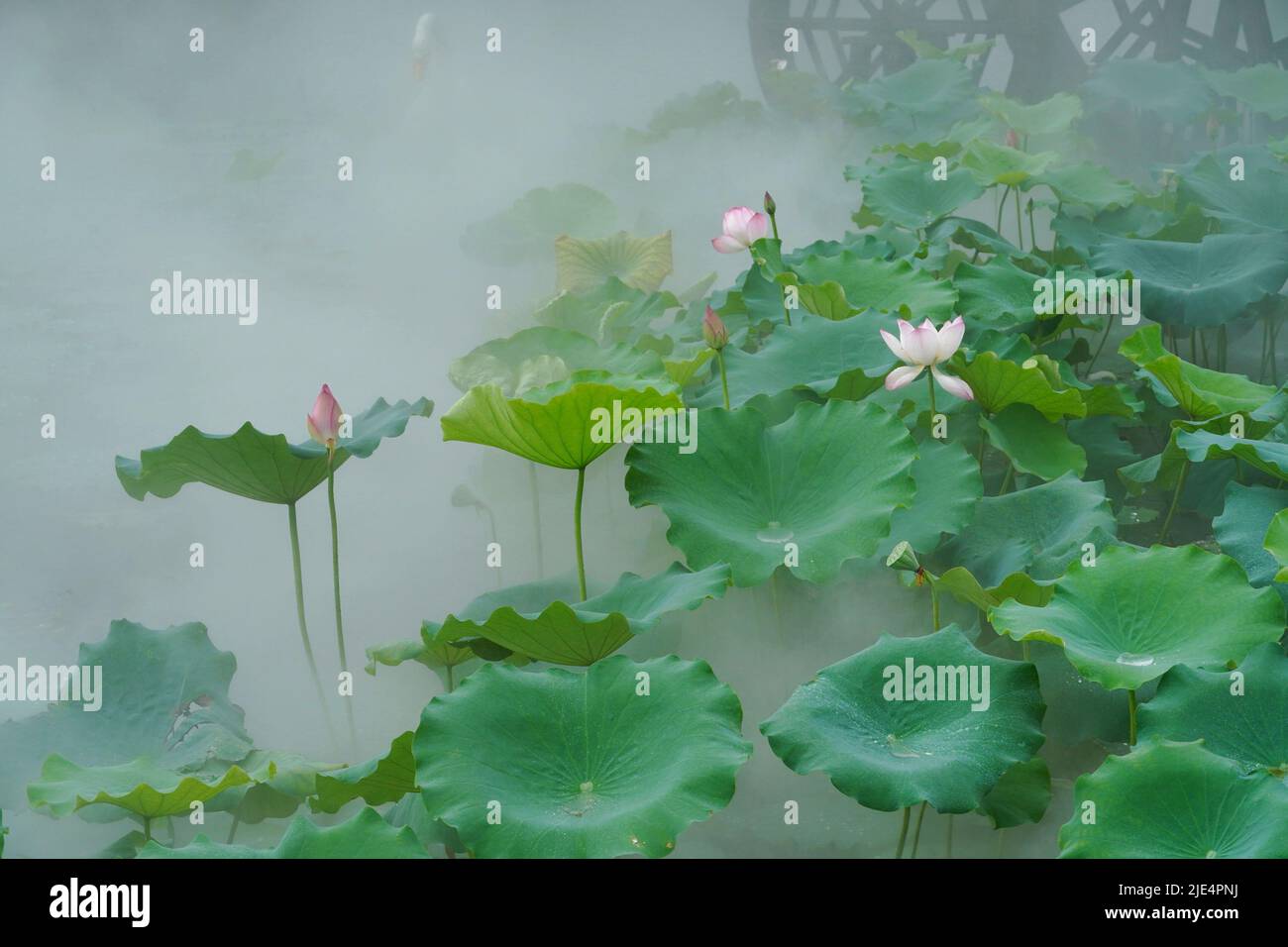 Qingxiu mountain scenic area hi-res stock photography and images - Alamy