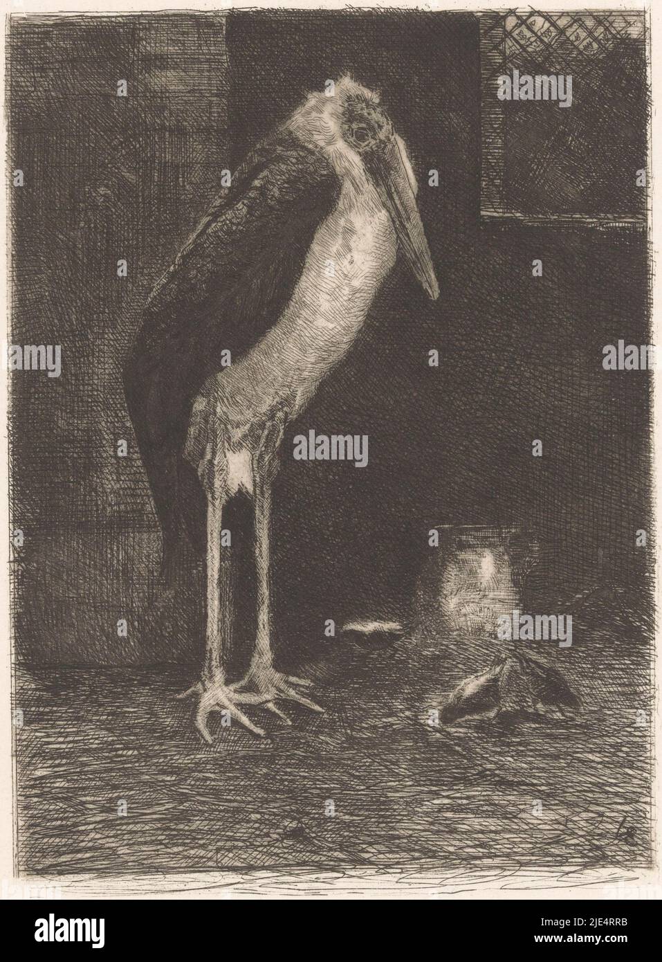 Three birds scratching hi-res stock photography and images - Alamy