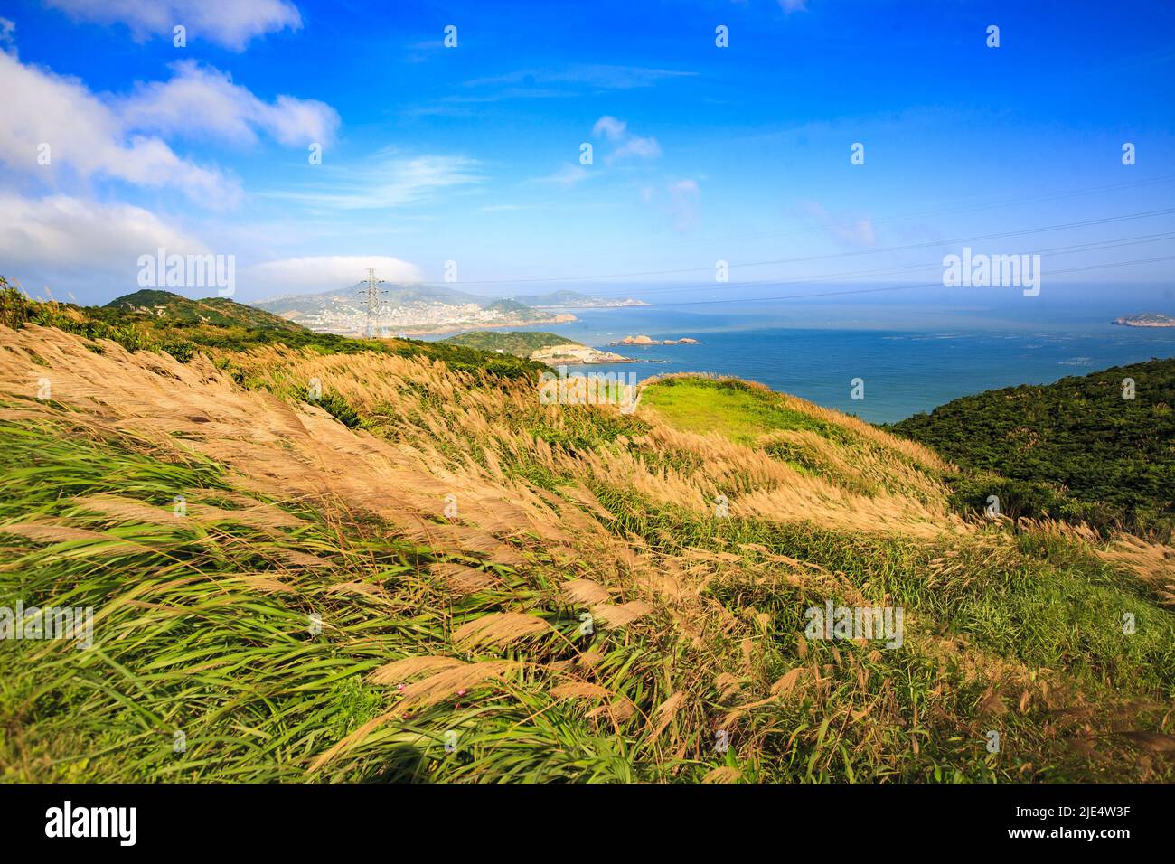 Zhejiang zhoushan shengsi Chinese wolfberry island bay scenery Stock ...