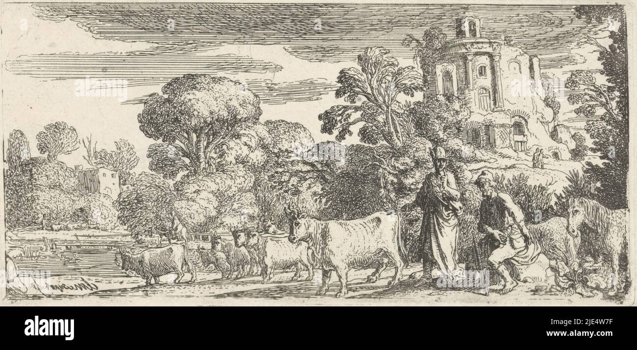 Apollos cattle hi-res stock photography and images - Alamy