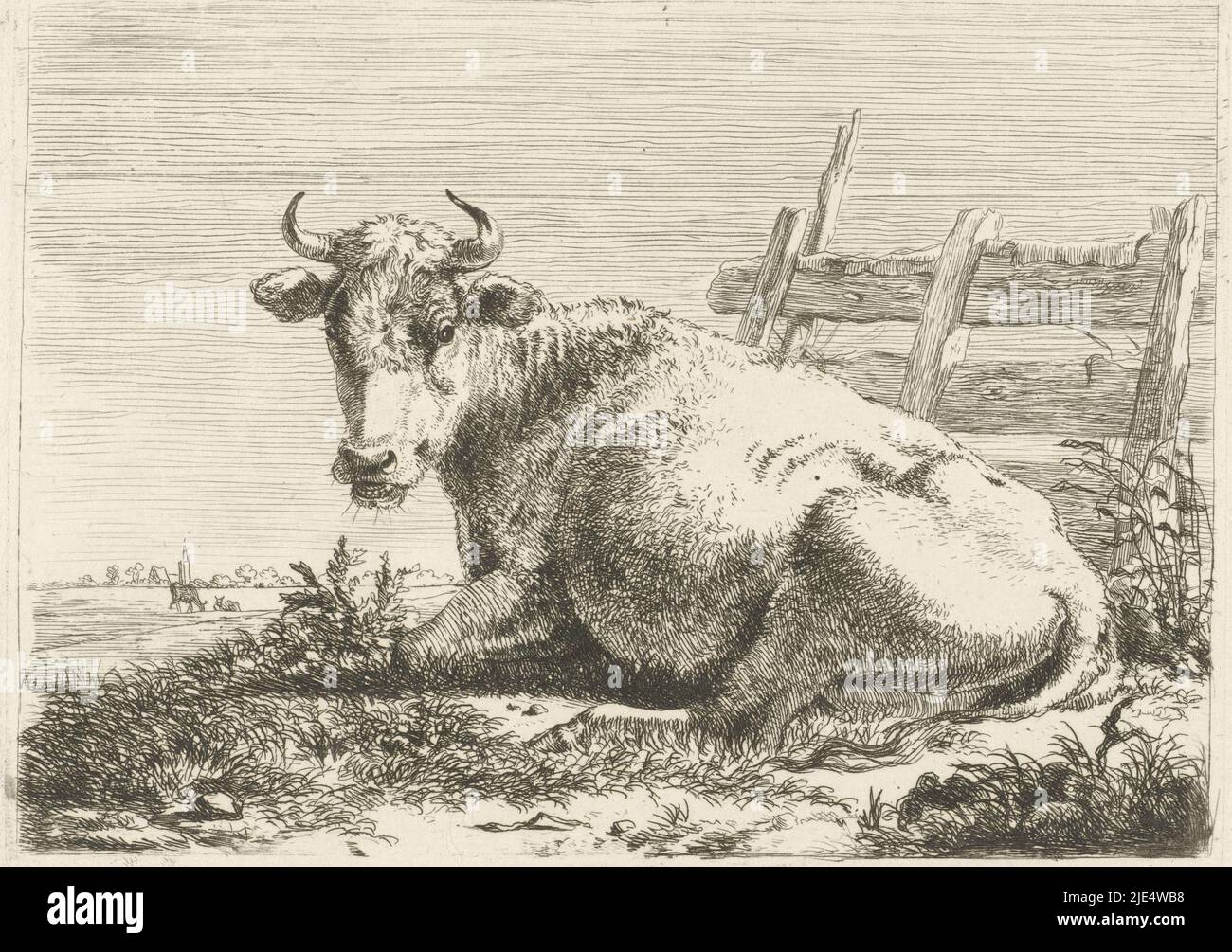 Reclining cow at a fence Cows (series title), print maker: Pieter ...