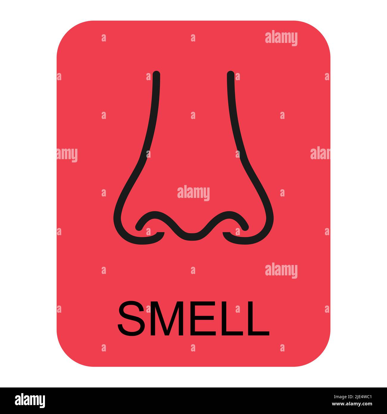 Human anatomy flat nose icon, smell health organ vector illustration ...