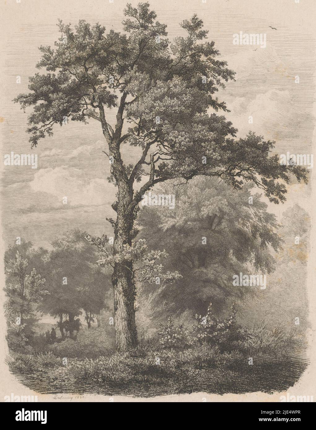 Landscape five etchings hi-res stock photography and images - Alamy