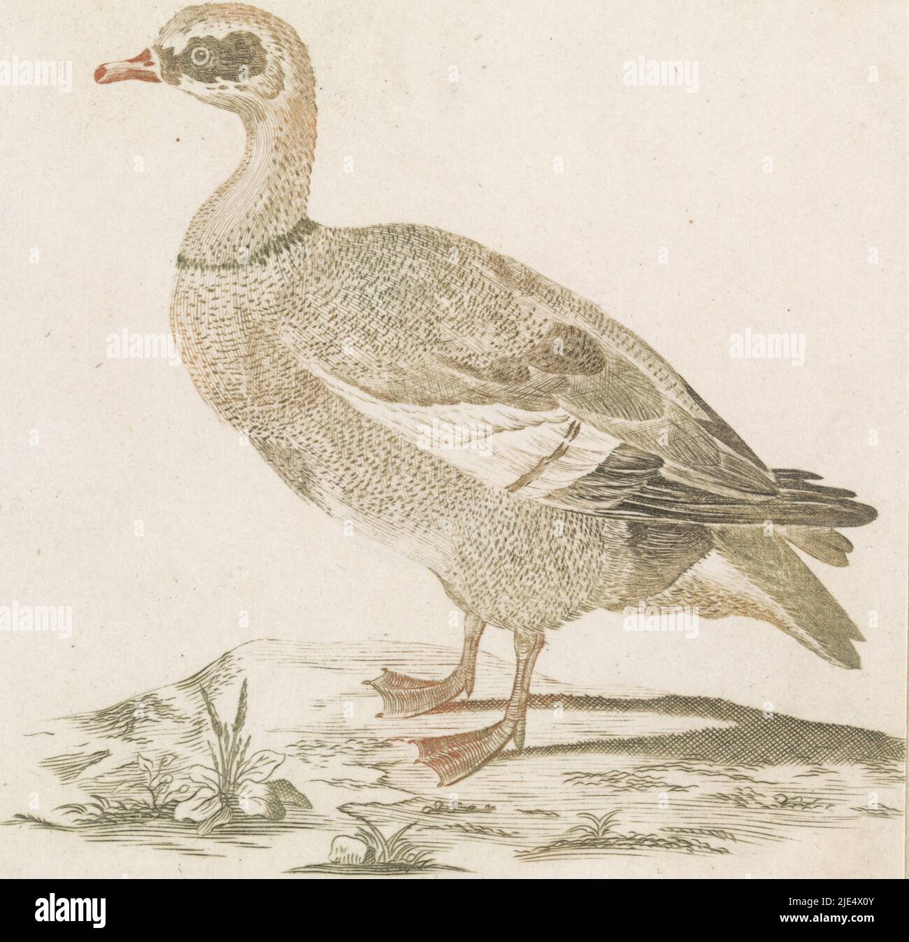 W 109 mm h 113 mm hi-res stock photography and images - Alamy