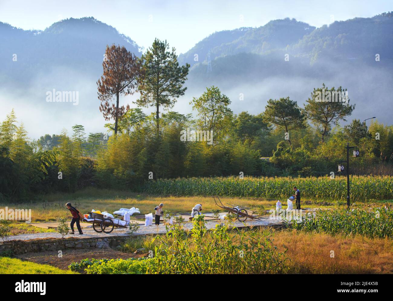 Zhejiang taizhou xianju Yang Fengshan mountain village the field and ...