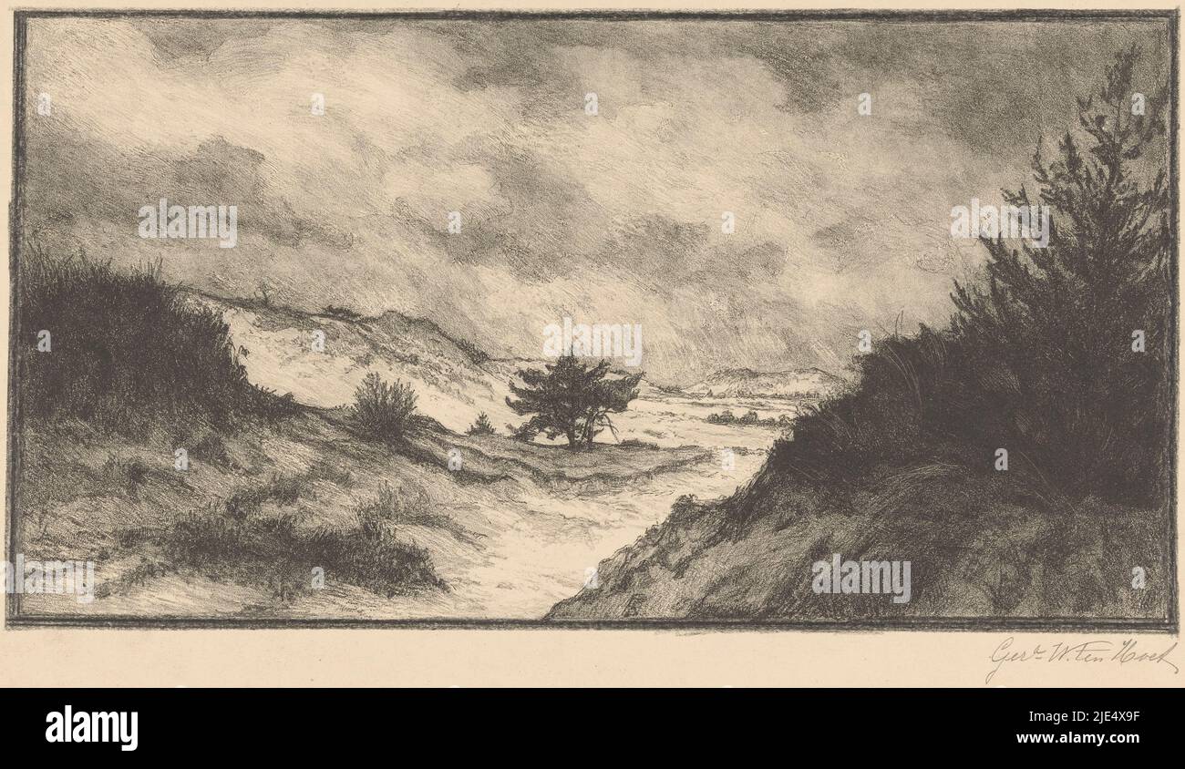 Dune landscape with a shrub in the middle, Dune landscape Sand drift ...